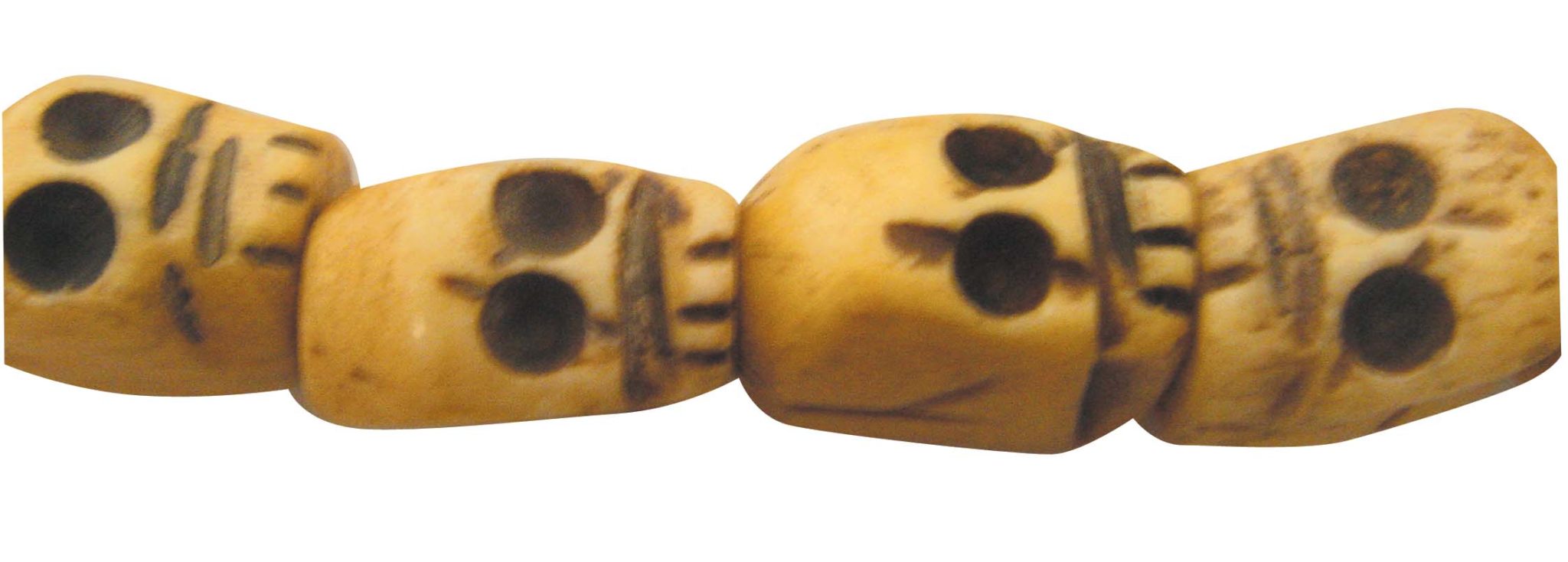 Bone Skull - Driftstone Pueblo - Wholesale