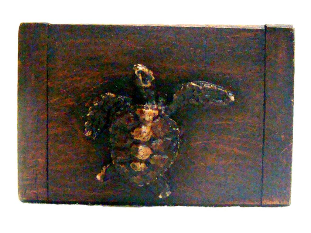 Wood Box-Turtle - Driftstone Pueblo - Wholesale
