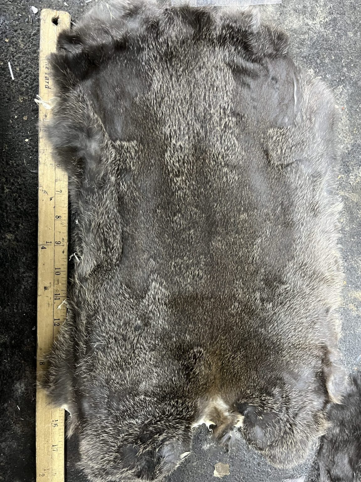 Craft Grade Dark Rabbit Skins - Driftstone Pueblo - Wholesale