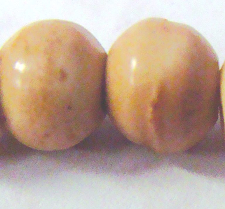 Bone, Fur and Animal Parts Archives - Driftstone Pueblo - Wholesale